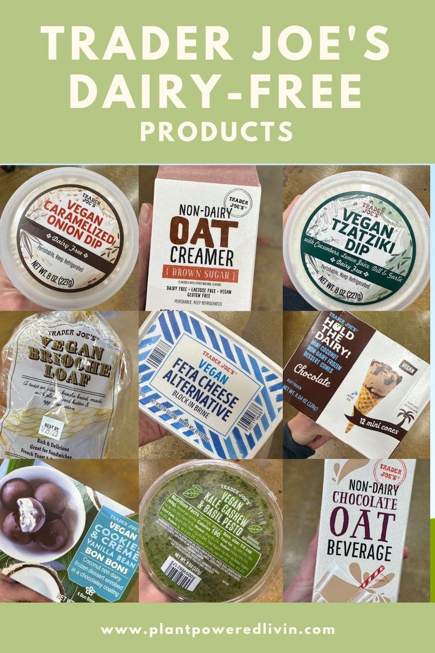 Trader Joe's Dairy-Free Items (Sept. '23) — Plant-Powered Livin'